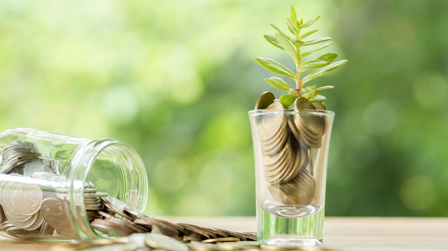 WISD deemed to be ‘in good financial standing’ after audit